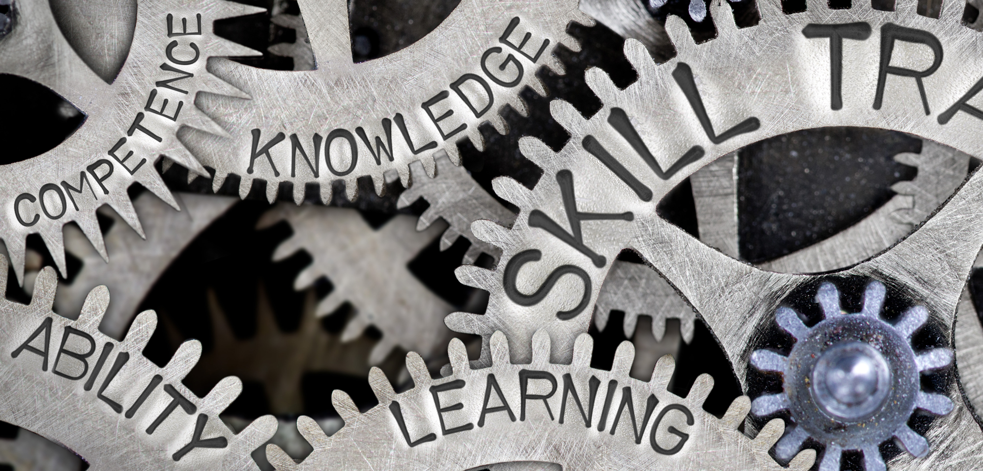 Pearl Tutor – Home Education Made Easy